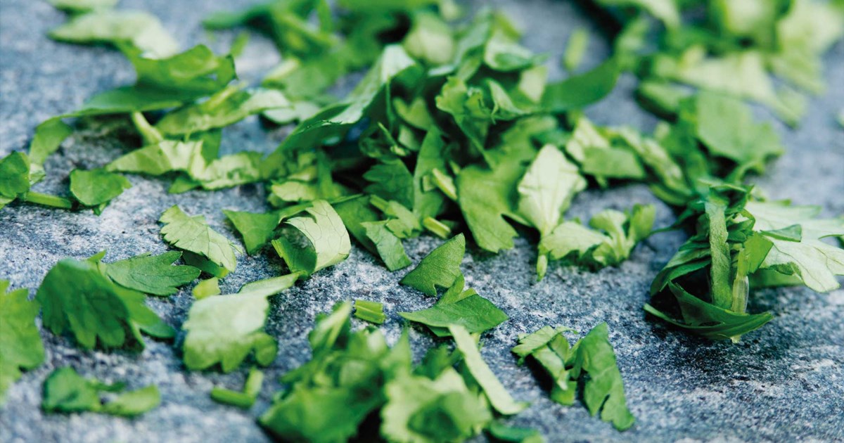 Herb Guide | Santa Maria