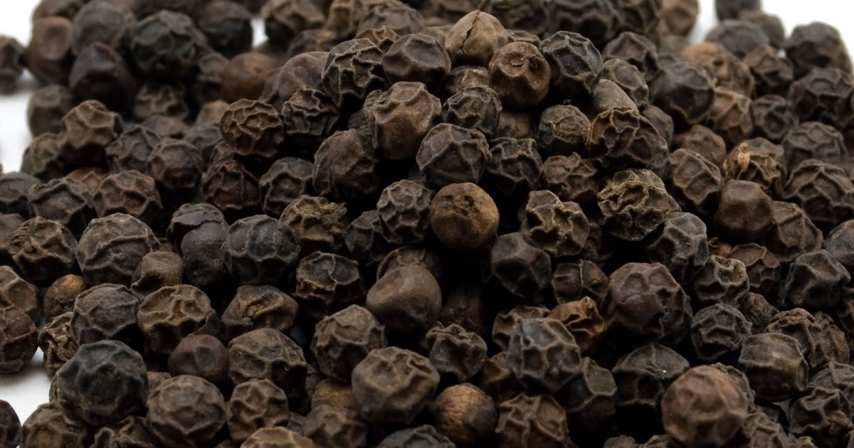 Sort pepper │ Santa Maria