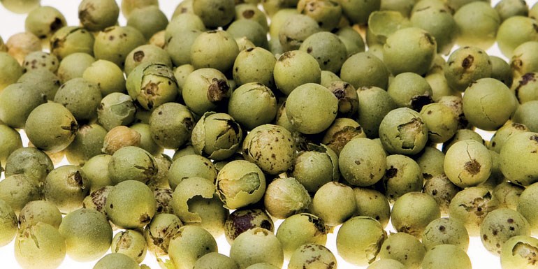 Žalieji pipirai | Santa Maria