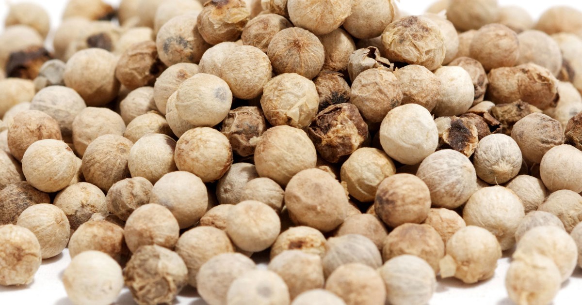 Valge pipar│ Santa Maria