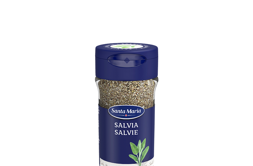 Salvia | Santa Maria